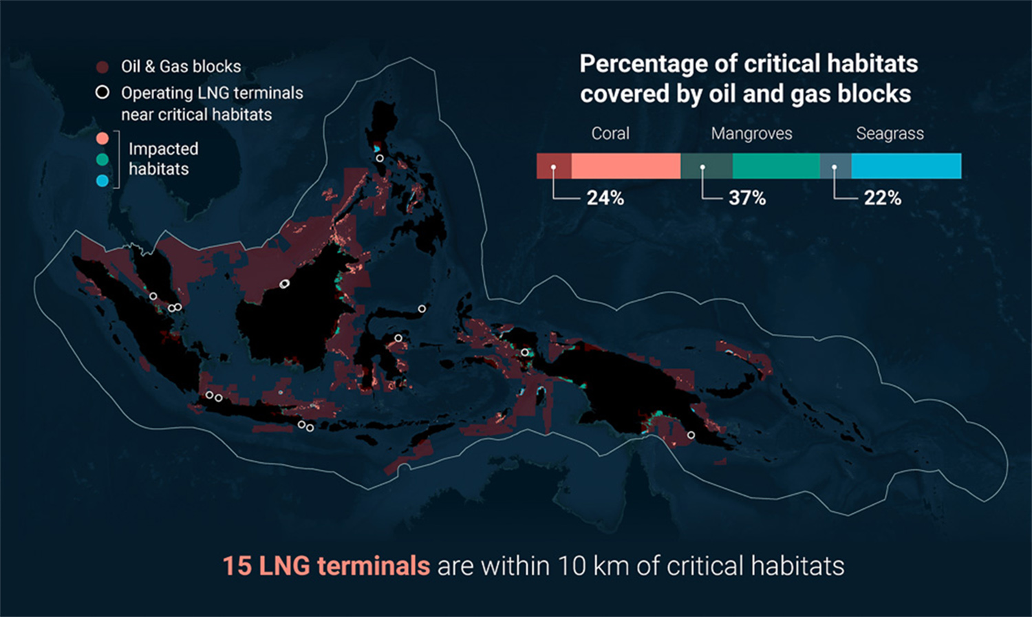 Coral Triangle at Risk: Fossil Fuel Threats & Impacts | Earth Insight